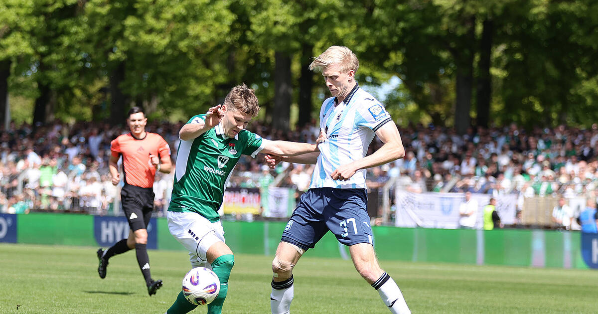 TSV 1860: Jetzt sind Sie dran! Wählen Sie den Löwen des Spiels gegen ...
