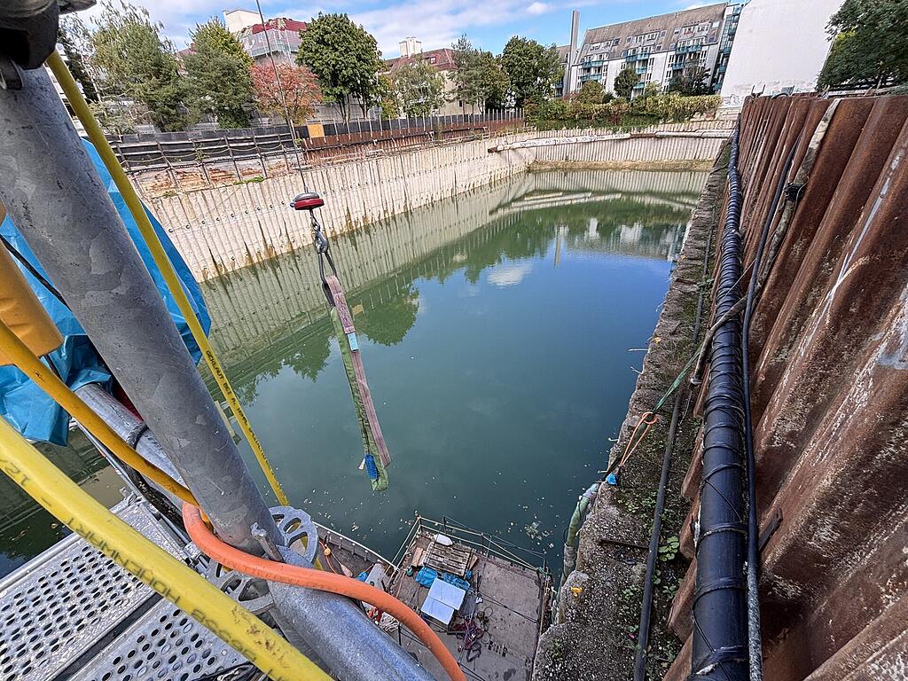Tausende Fische gegen Millionenprojekt: Rettungsaktion im Sendlinger ...