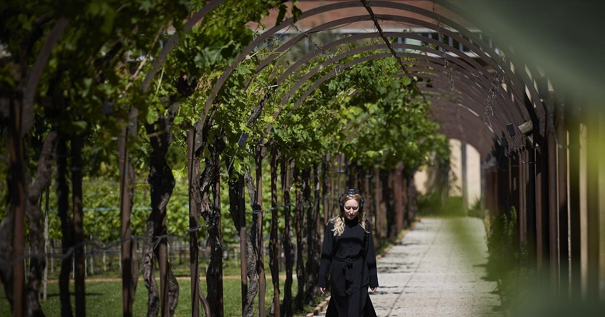 Venedig-Biennale: „Man muss Hildegard einfach lieben!“ | Abendzeitung ...