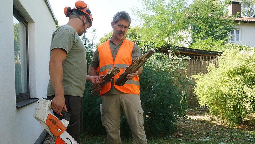 Bilder: Gärten in Waldperlach abgeholzt | Abendzeitung München
