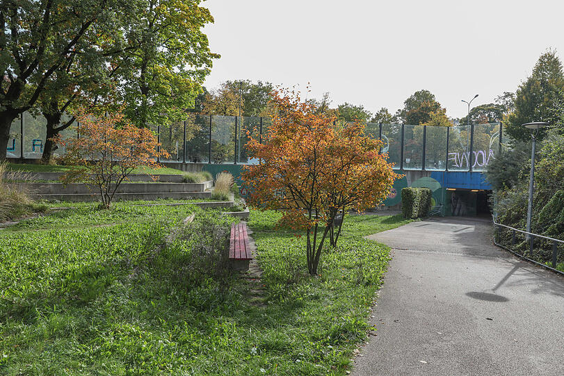 Beschaulich und schön: Frischekur für Arbeiterwohnungen in Berg am Laim ...