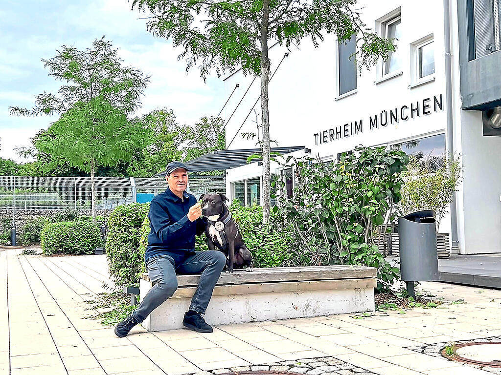In Bayern nicht vermittelbar: Diese Hunde haben es im Tierheim München ...