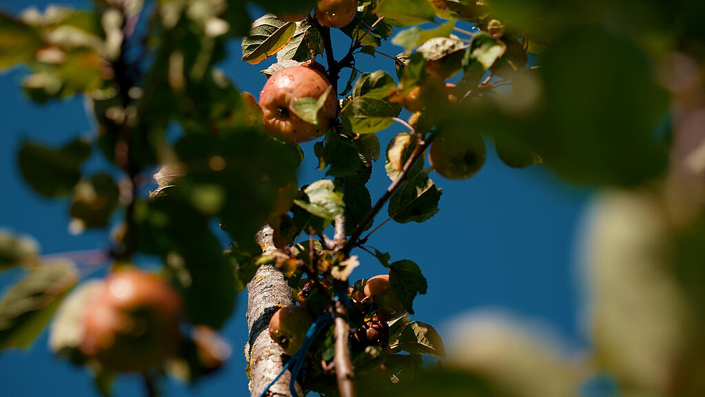 Darum profitiert jeder Einwohner in Bayern von der GlücksSpirale ...