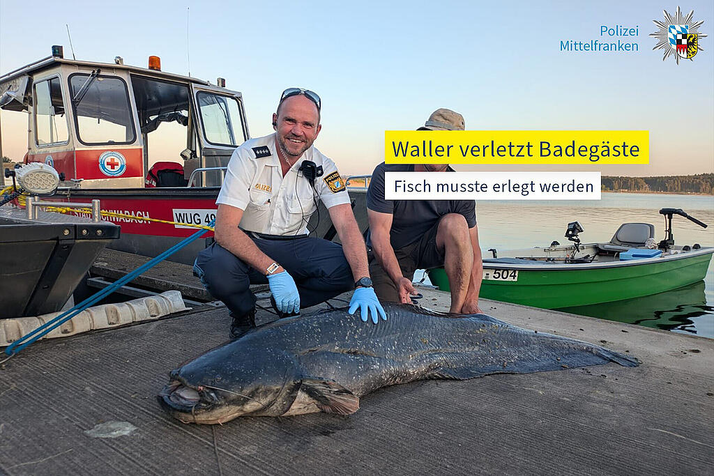 Wels am Brombachsee: Doch nicht von Polizei erschossen | Abendzeitung München