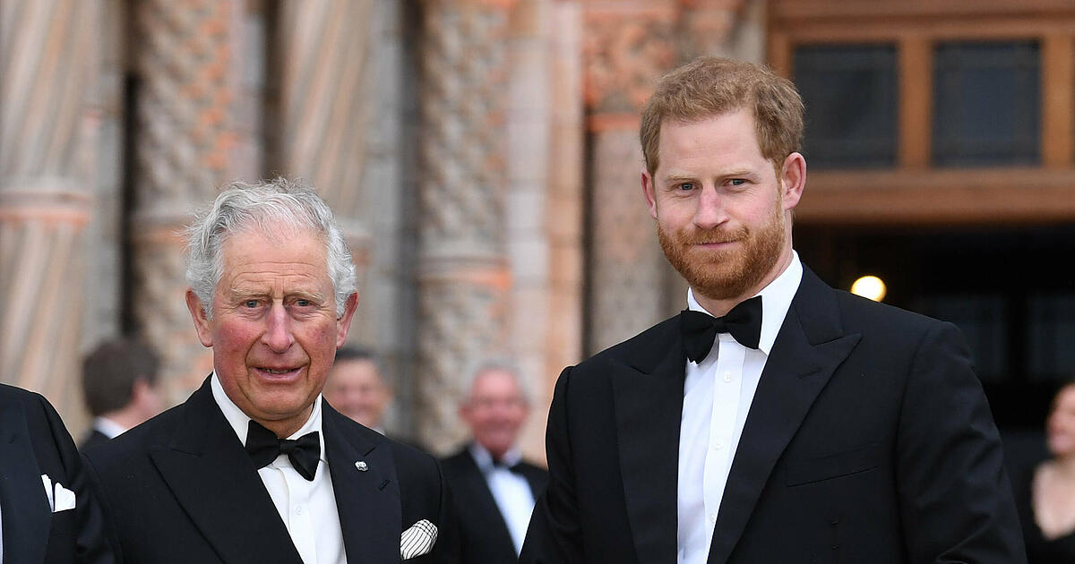 Als "Gefahr" eingestuft: Prinz Harry hat Vertrauen von König Charles ...