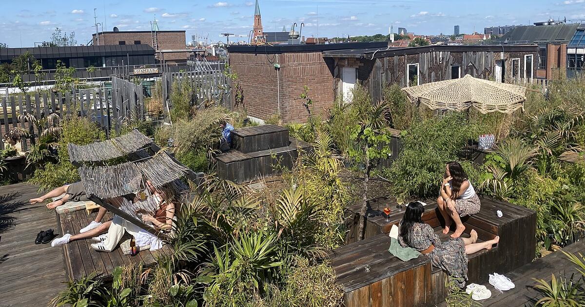 Rauf aufs Dach: Wo man am Samstag Münchner Dachterrassen bestaunen kann ...