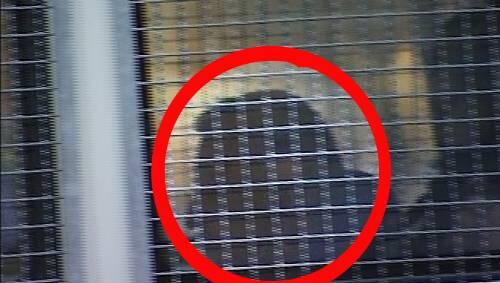 Ehrenmord? Döner-Mann ersticht seine Tochter | Abendzeitung München Ehrenmord? Döner-Mann ersticht seine Tochter | Abendzeitung München