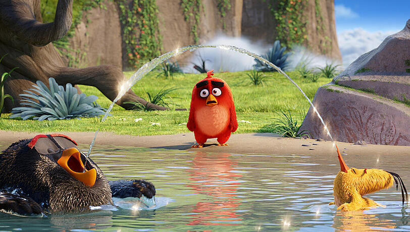"Angry Birds": Immer schön wütend bleiben | Abendzeitung München