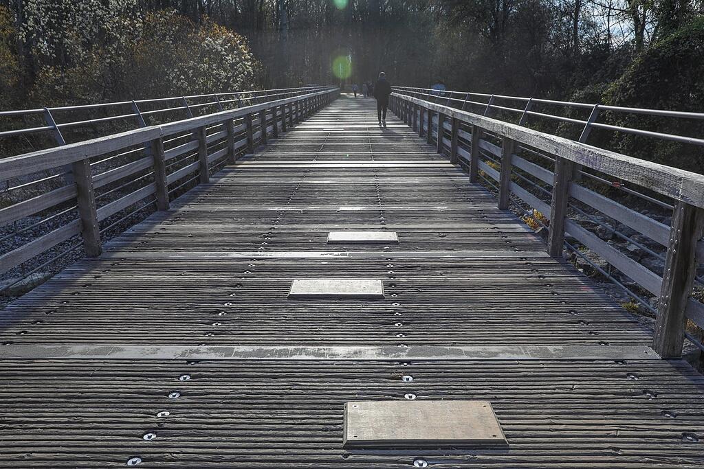 Riemer Park und Flaucher: Stolperstellen auf Holzbrücken | Abendzeitung ...