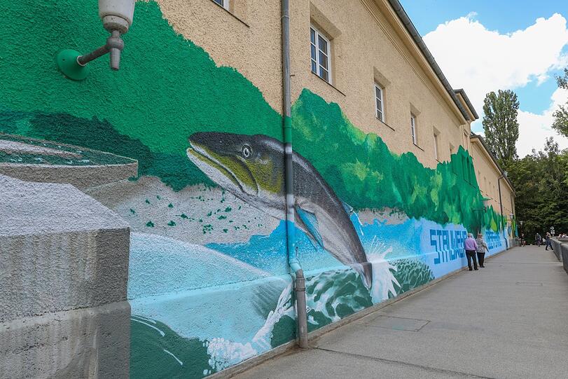 Loomit: Das Graffito am Stauwehr Oberföhring ist fertig | Abendzeitung ...