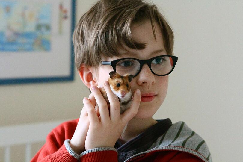 Operation Hamster | Abendzeitung München