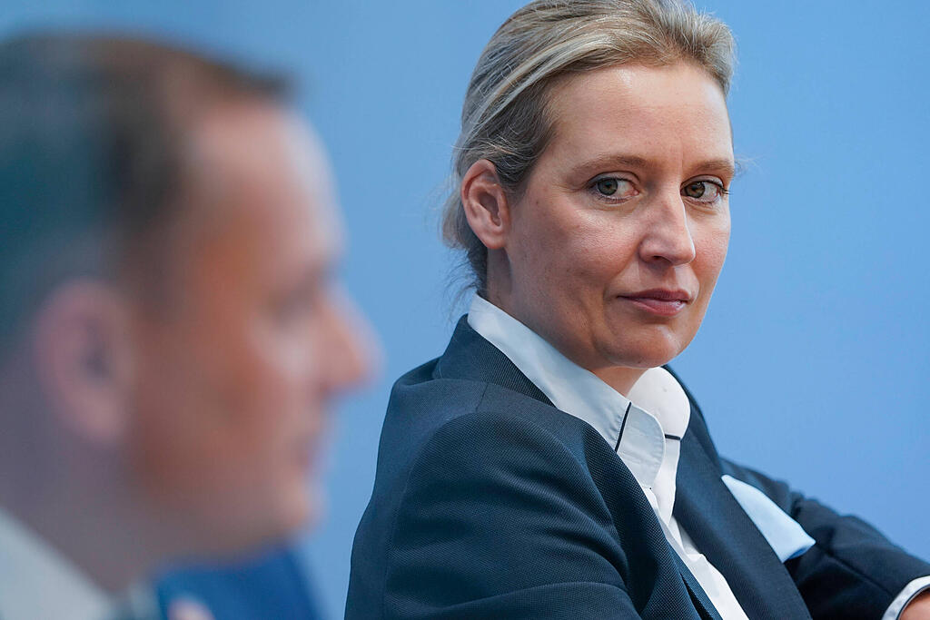 Alice Weidel: Lesbischer AfD-Chefin geht Regenbogen-Getue auf die ...