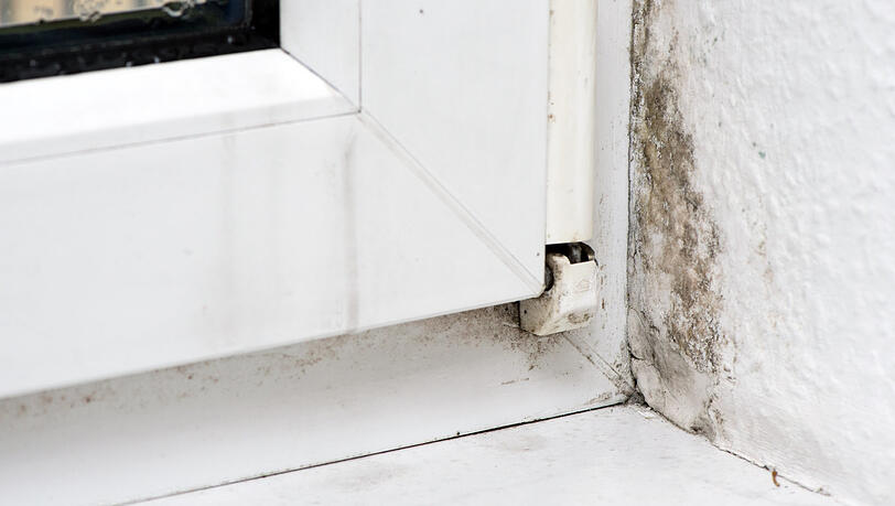 Schimmel in der Wohnung: Ursachen, Symptome und Folgen für Ihre ...