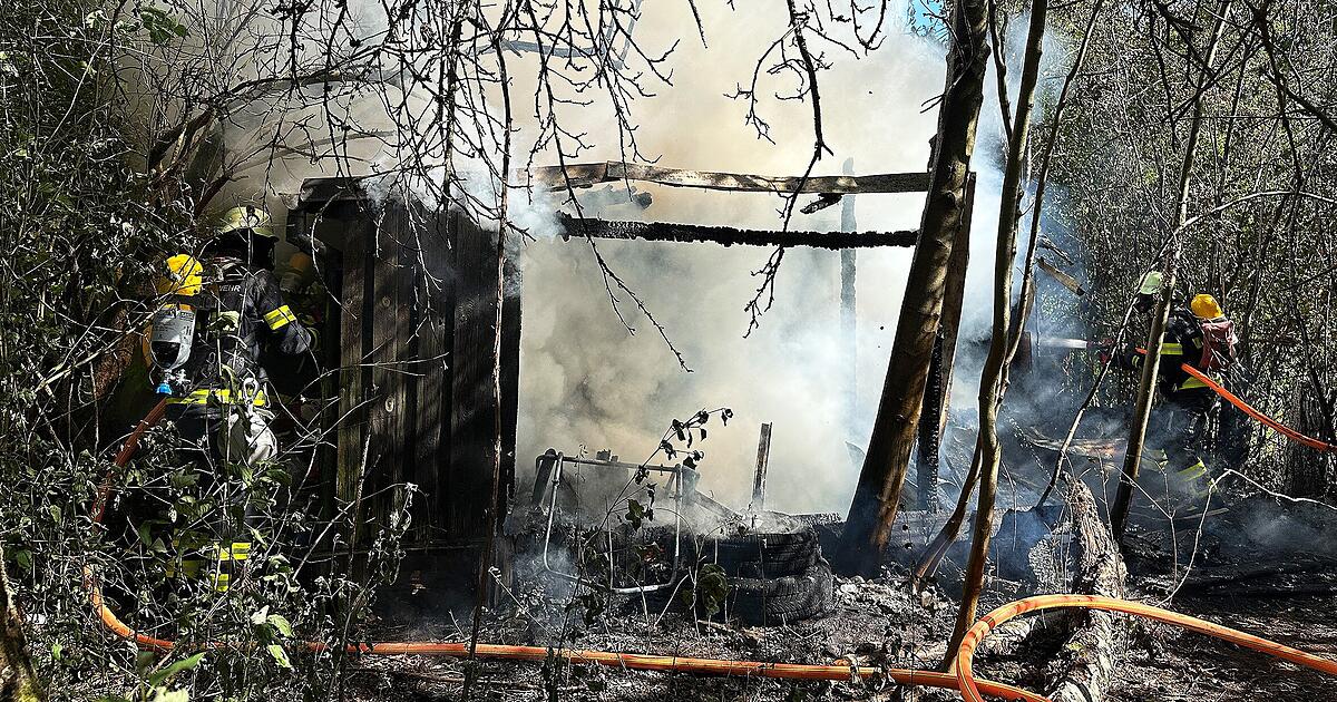 Kettensägen im Einsatz: Feuerwehr löscht Gartenhütte in der Lerchenau ...