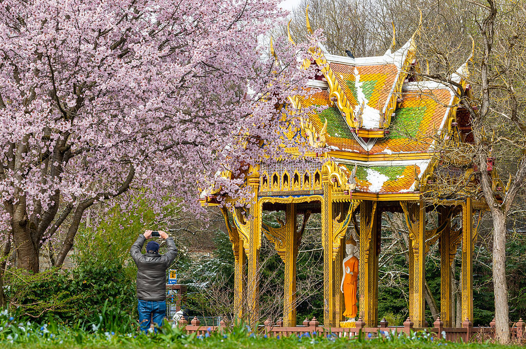 Pollen im Anmarsch: Die Corona-Maske kann helfen | Abendzeitung München